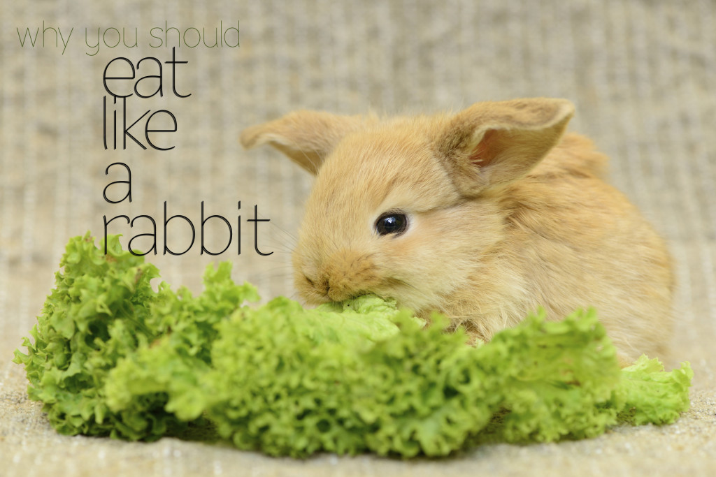 Why You Should Eat Like A Rabbit - Grounded Organic