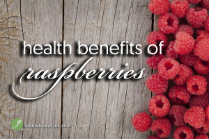 Health Benefits of Raspberries - Grounded Organic
